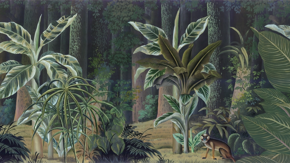 Panoramic Wallpaper - Bornéo - Ananbô