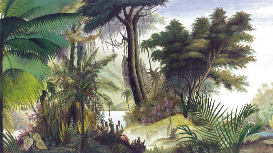 Papier peint panoramique - Les sources de l'Orénoque - Ananbô